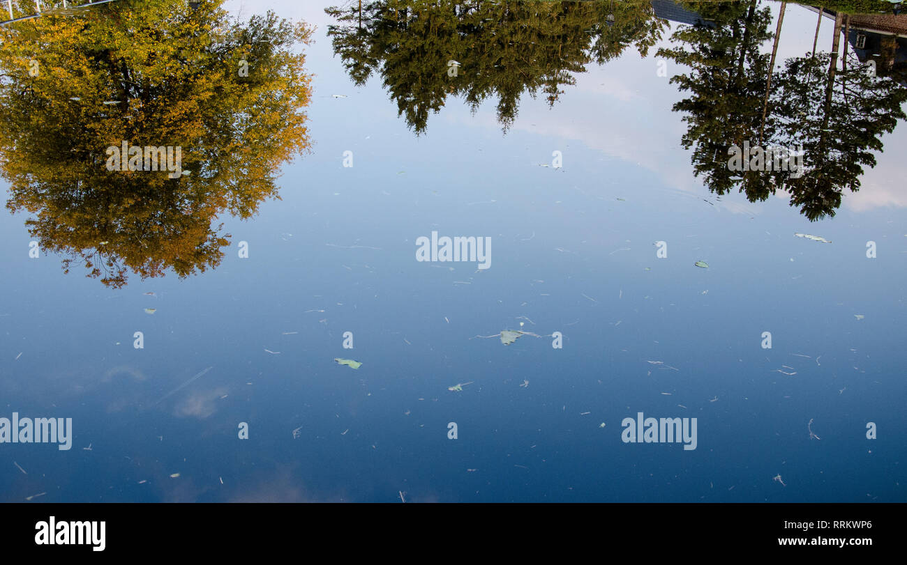 Sky mirrored in pond hi-res stock photography and images - Alamy