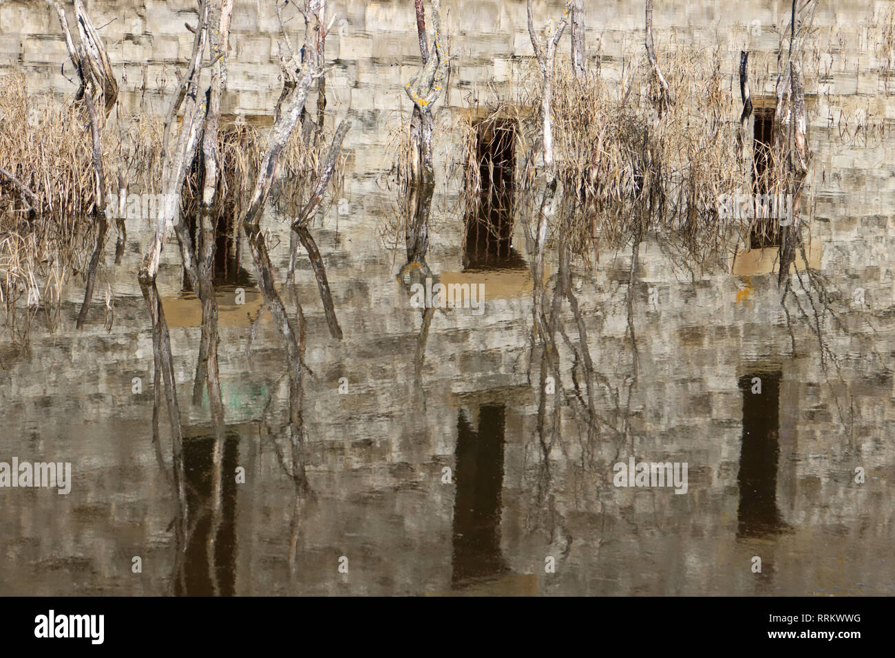 Cliffe Fort is a disused artillery fort built in the 1860s to guard the ...