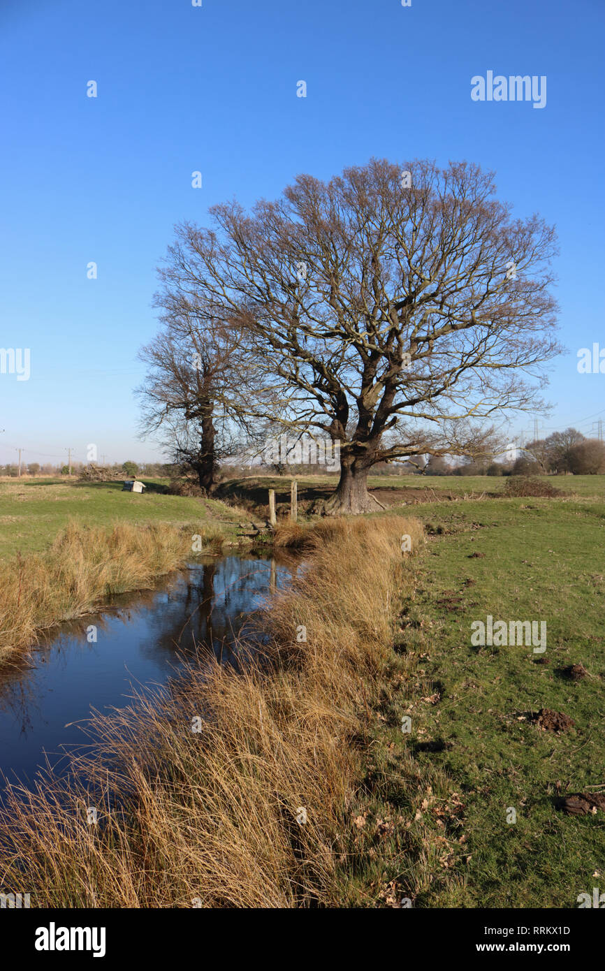 Higham kent hi-res stock photography and images - Alamy