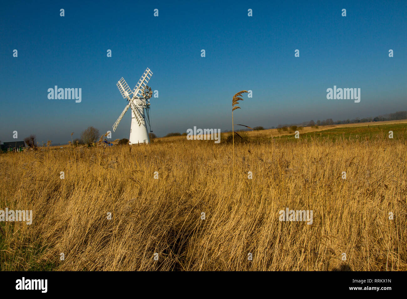 Thurne Mill - a traditional Norfolk windmill on the side of the ...