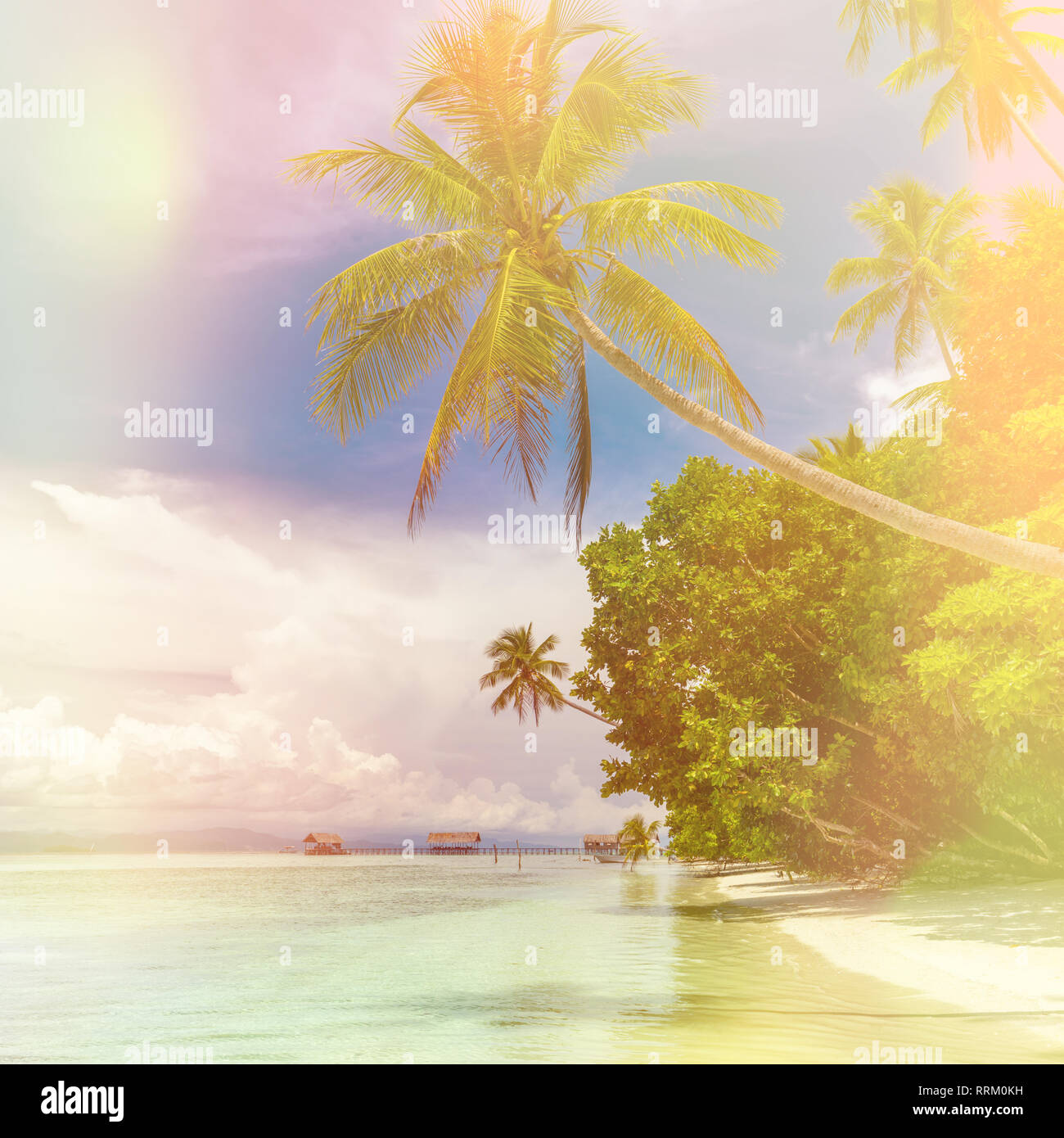 background of paradise island - landscape of tropical beach - calm ...