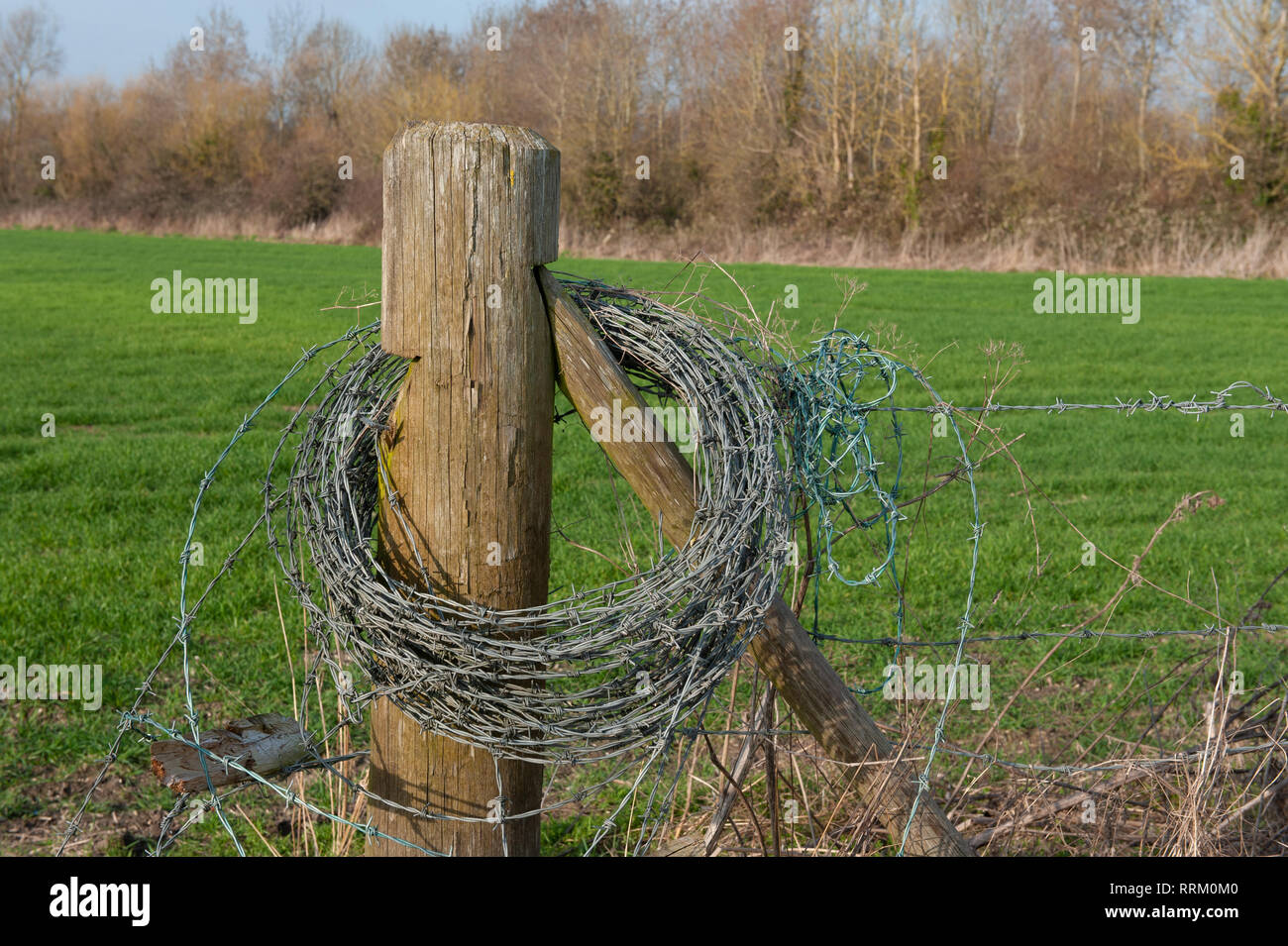 Barbed wire field boundary hi-res stock photography and images - Alamy