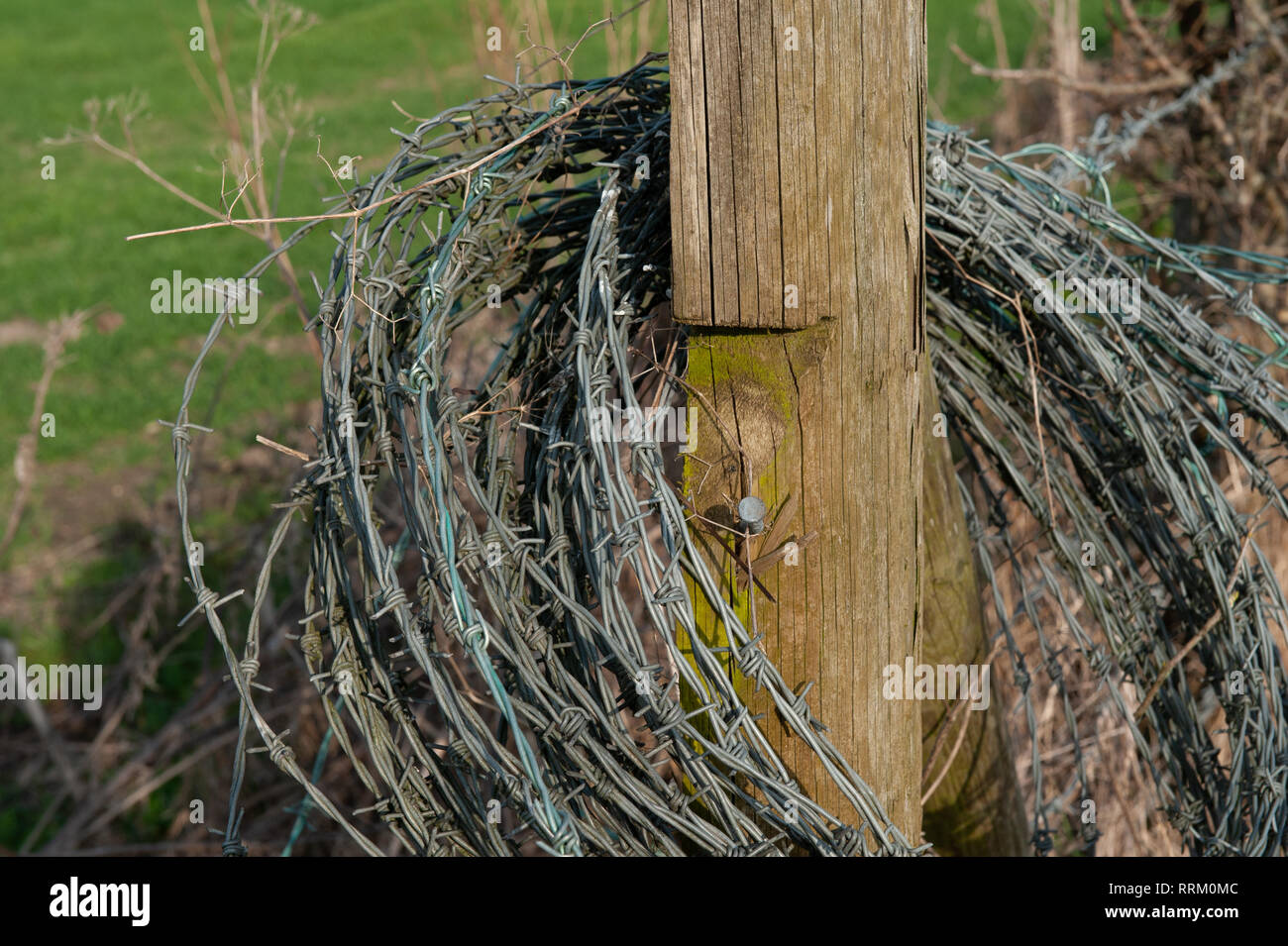 Strut wire hi-res stock photography and images - Alamy