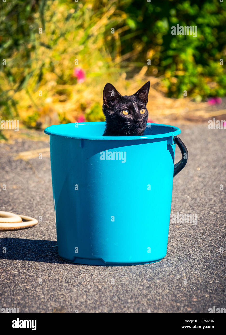 Blue pail hi-res stock photography and images - Alamy