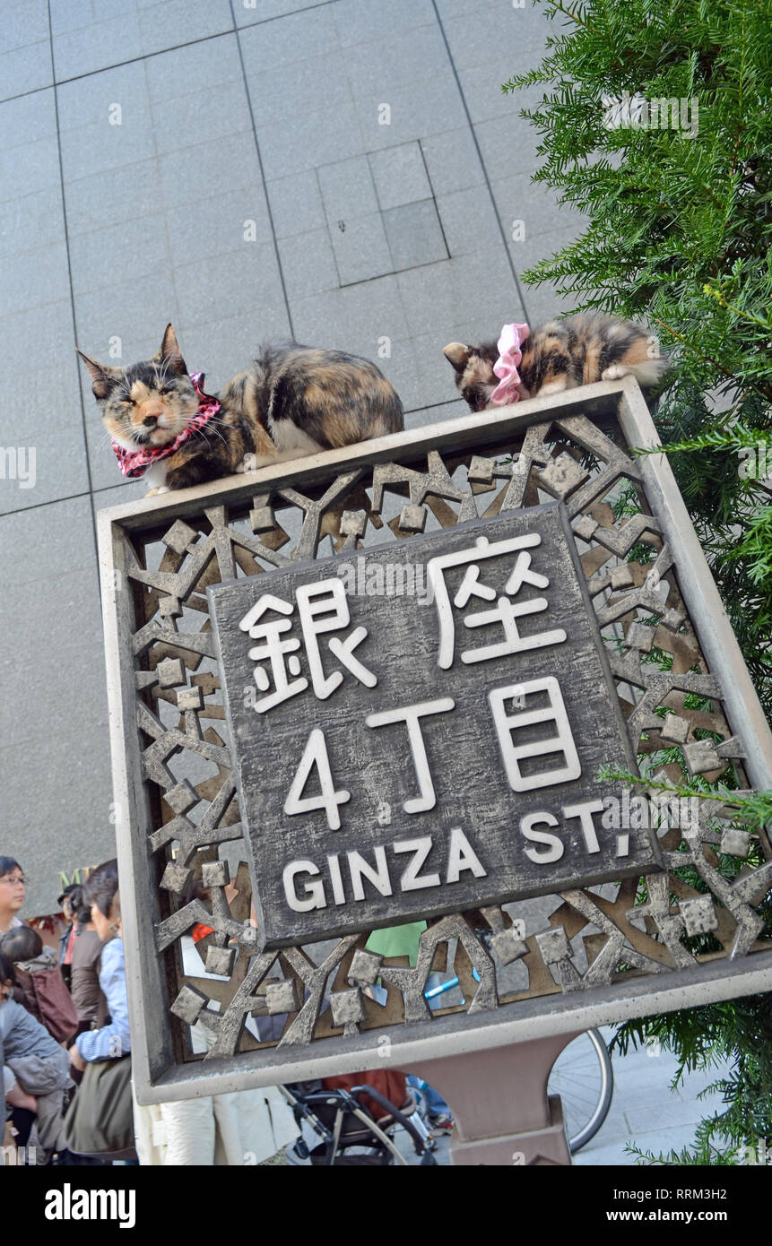 Shopping in Ginza Street, Tokyo Stock Photo - Alamy