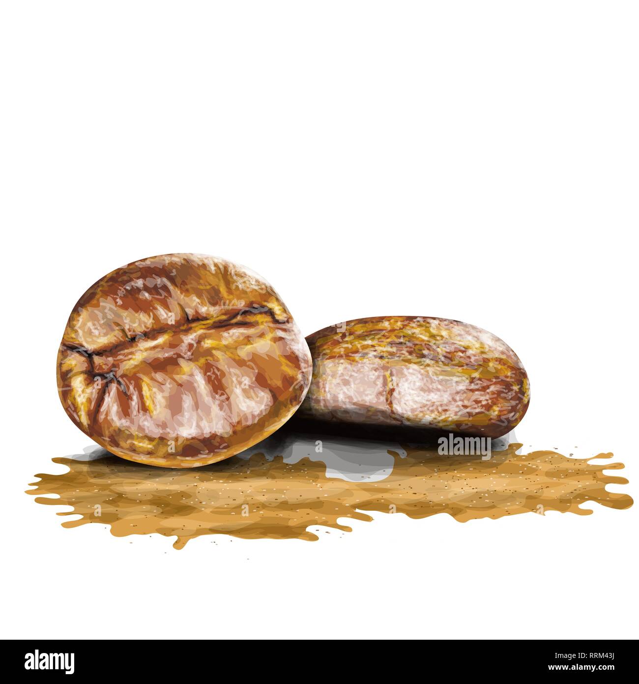 Coffee beens and splash drawing in watercolor art Stock Vector Image ...