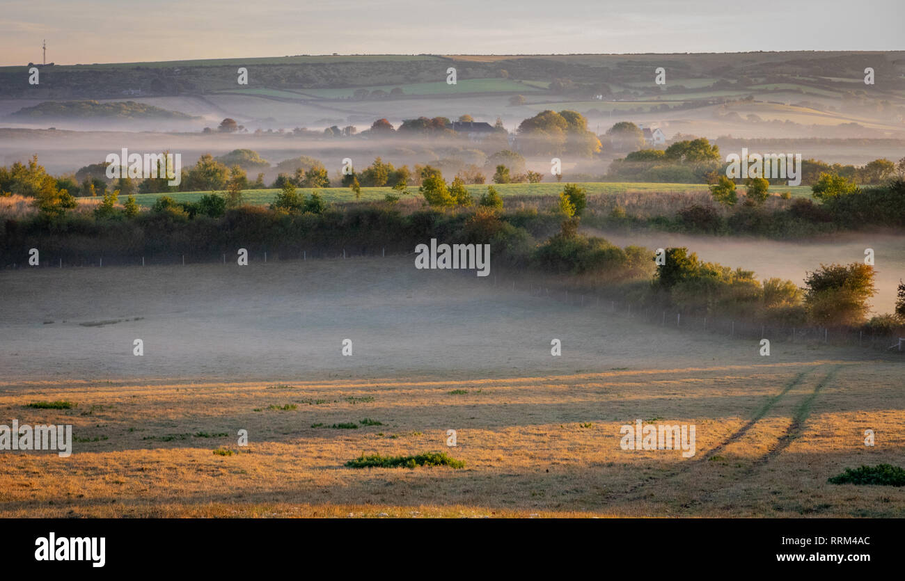 Beautiful summer morning mist over fields Stock Photo - Alamy