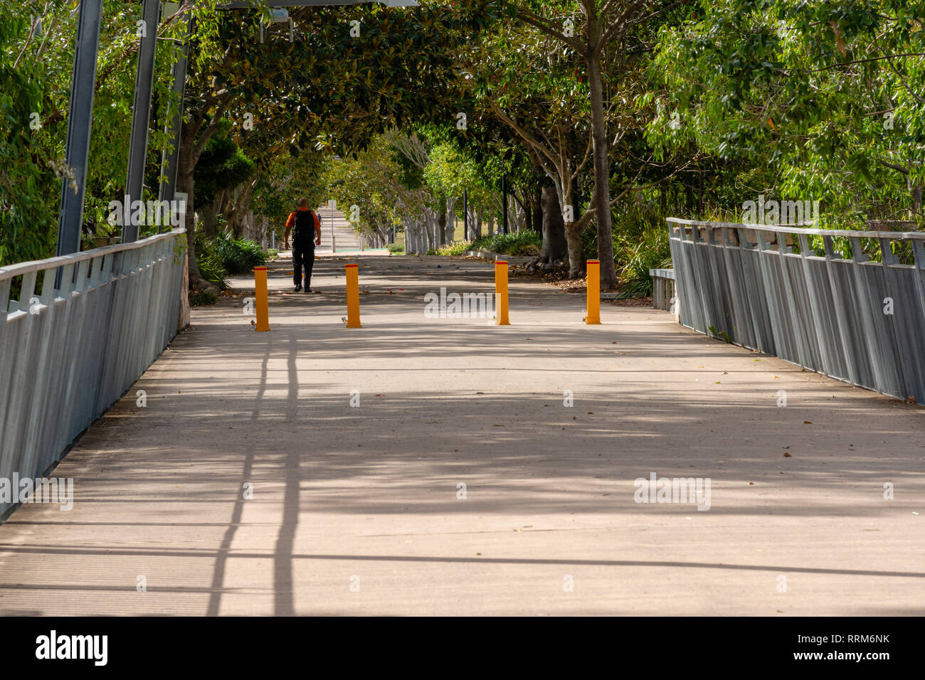 Railings trees hi-res stock photography and images - Alamy