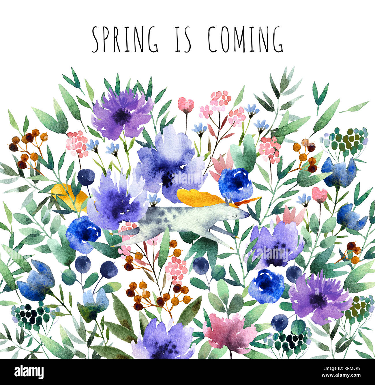 Beautiful watercolor flower banner with unicorn and lettering isolated ...