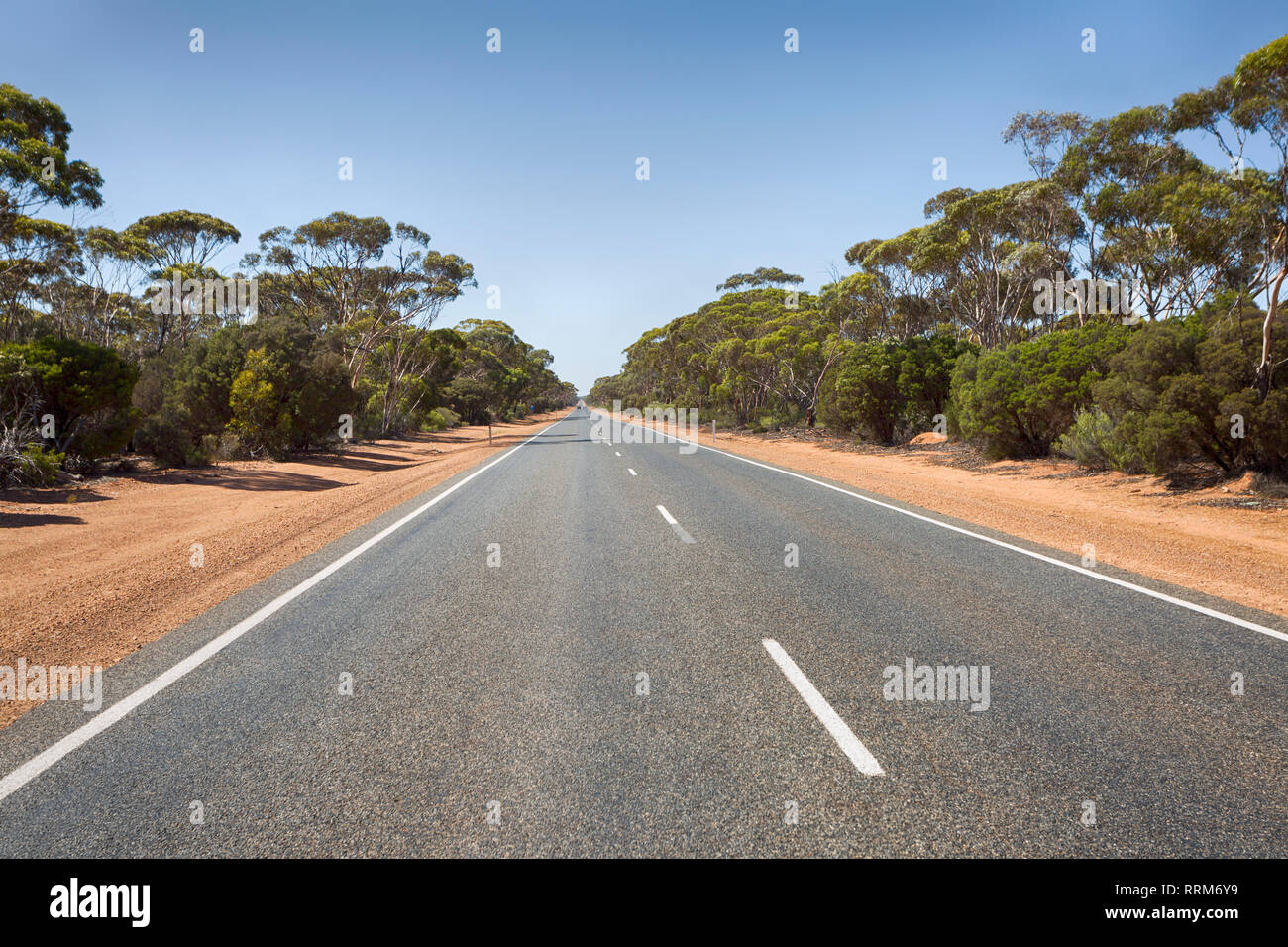 Road highway nullarbor plain hi-res stock photography and images - Alamy
