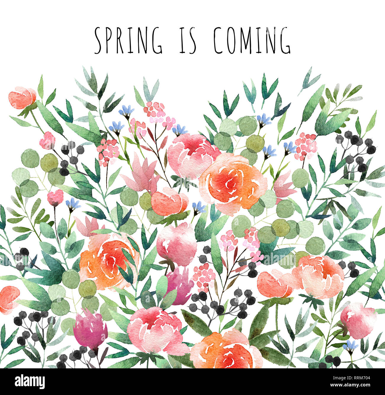 Beautiful watercolor flower banner with lettering isolated on white ...