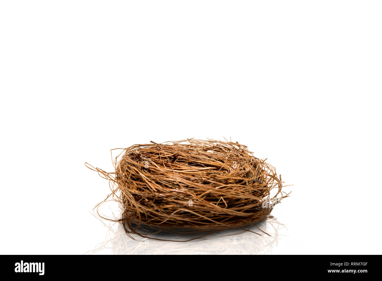 Empty nest hi-res stock photography and images - Alamy