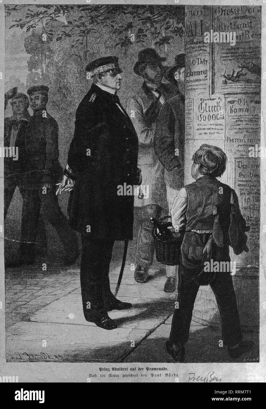 Prussian admiral hi-res stock photography and images - Alamy