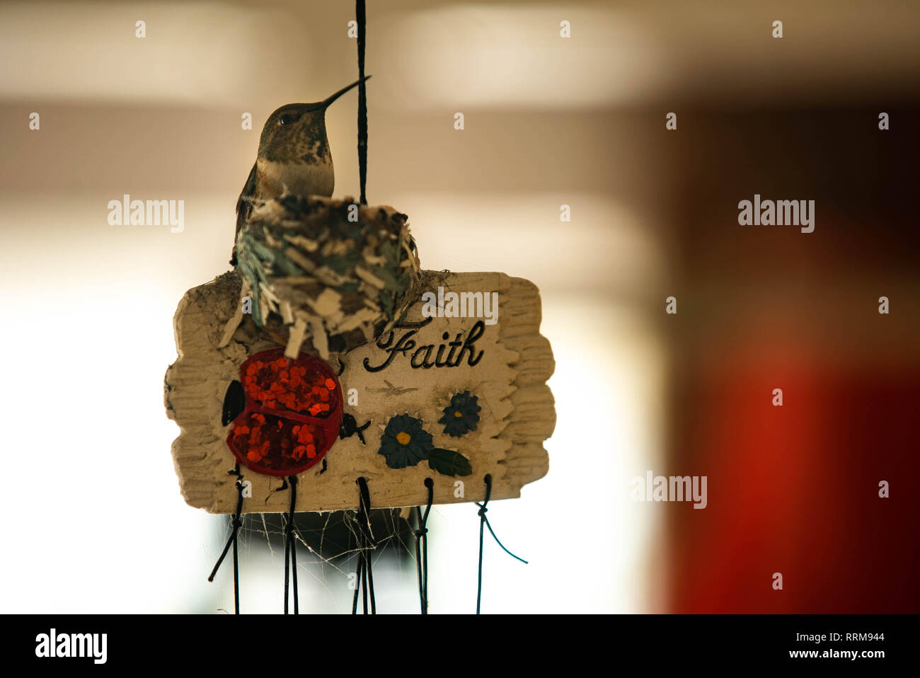 Hummingbird on a nest built on a Faith sign Stock Photo - Alamy