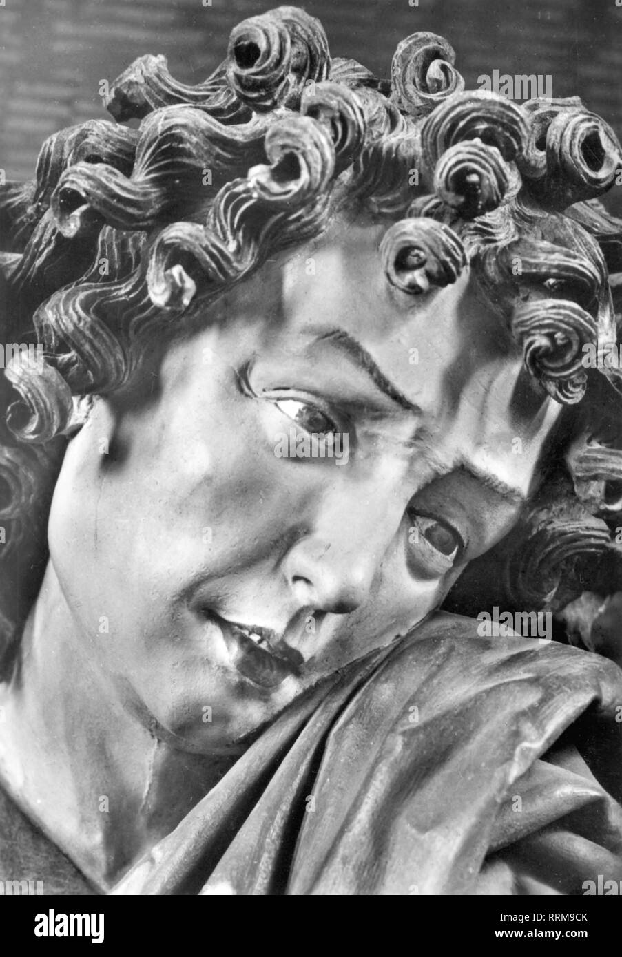 Zebedee High Resolution Stock Photography and Images - Alamy