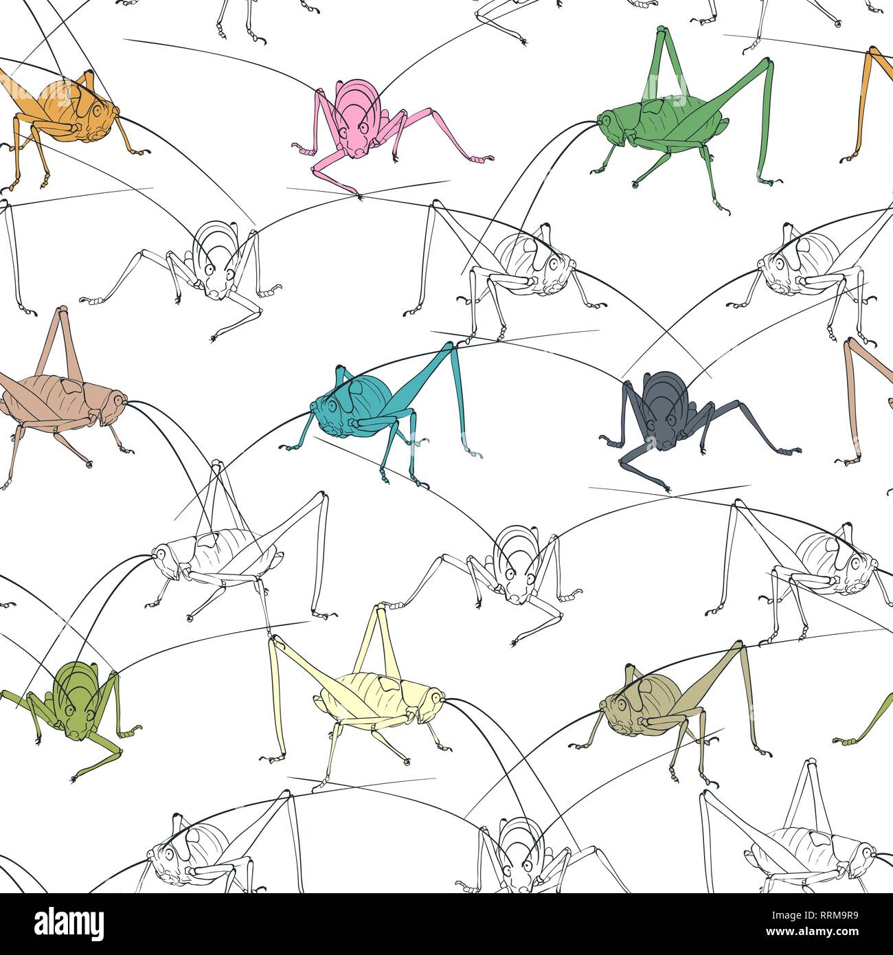 Colorful grasshopper Stock Vector Images - Alamy