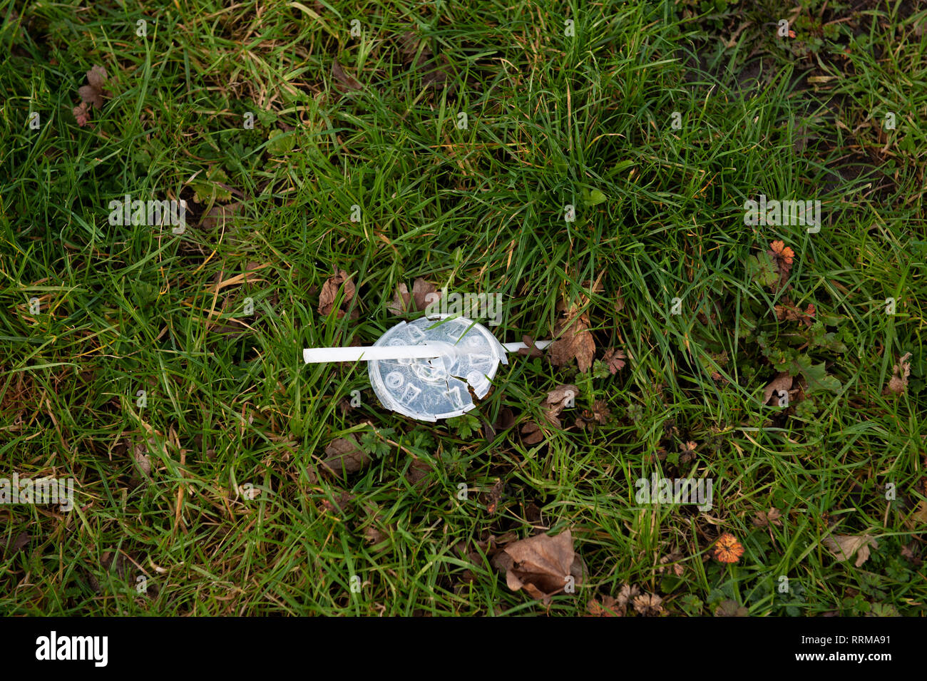 A discarded take-away drinks carton lid and straw. More litter! Stock ...