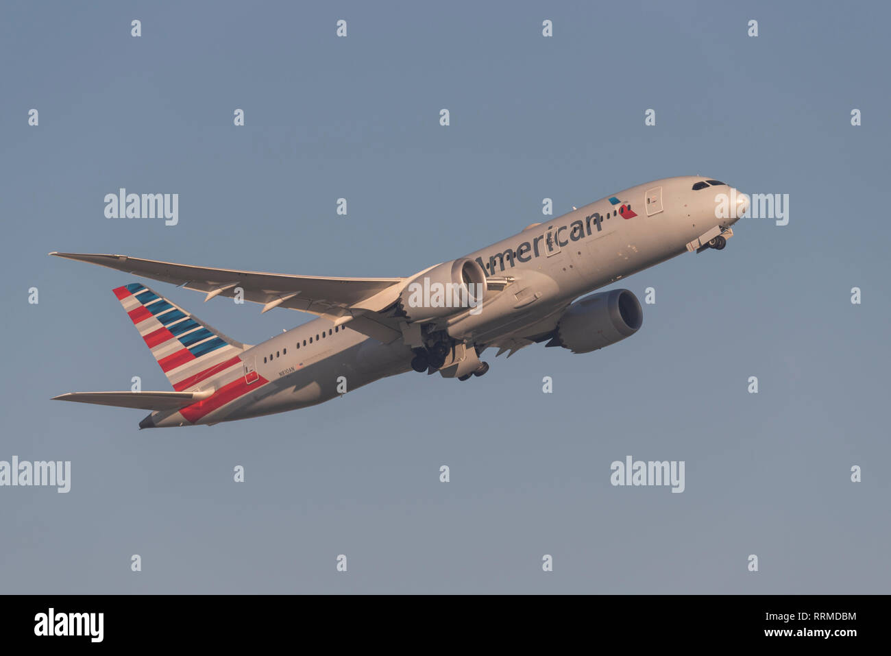 American Airlines Boeing 787 Dreamliner jet airliner plane N810AN ...