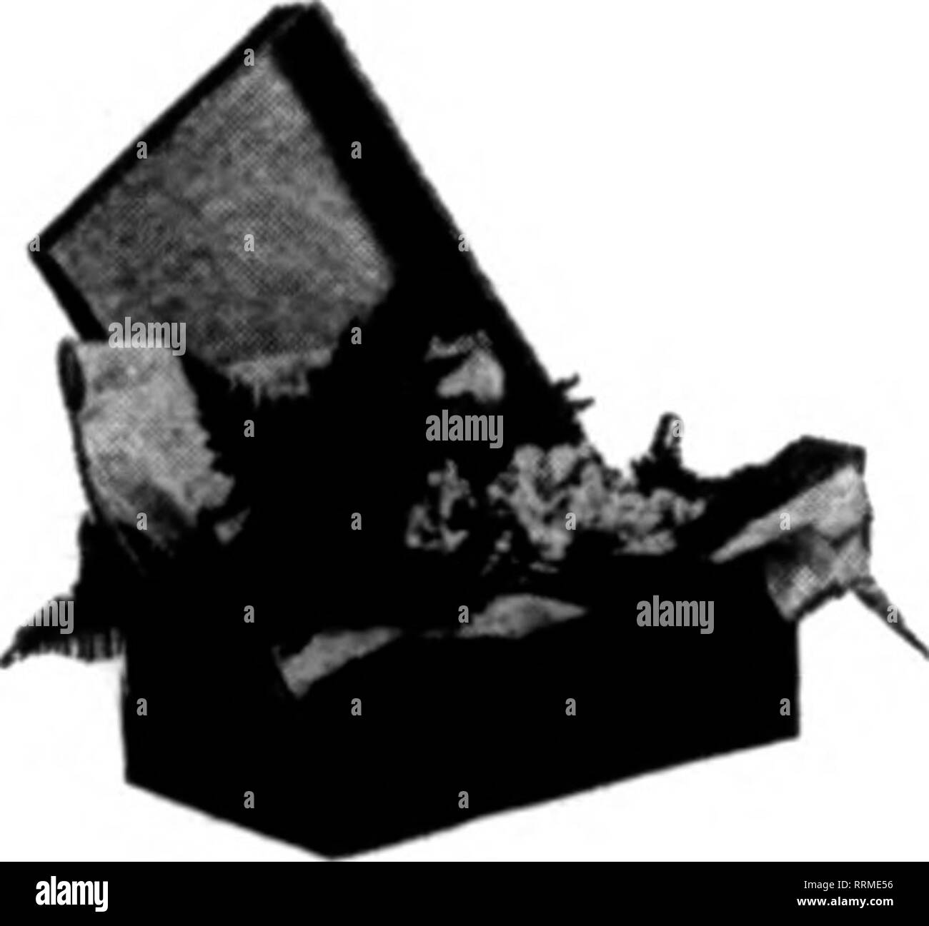 Grappled Cut Out Stock Images & Pictures - Alamy