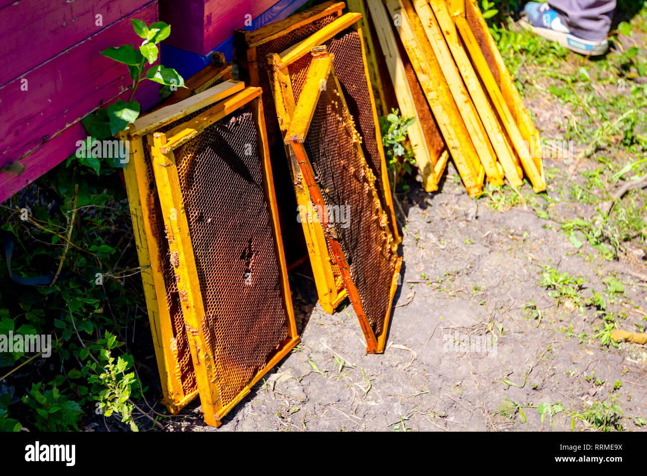 Pile of wooden frames with empty honeycomb placed on ground next to the ...
