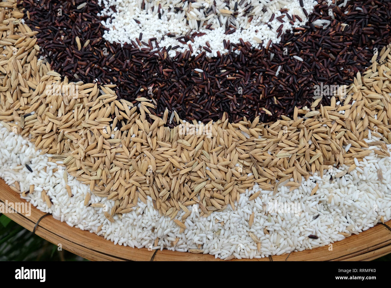 Jasmine rice, Brown rice, Red rice,Black rice, Mixed rice and Riceberry ...