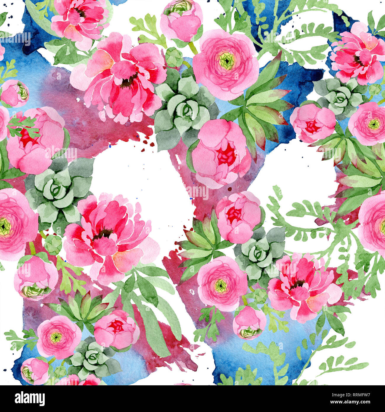 Pink ranunculus floral botanical flowers. Watercolor background ...