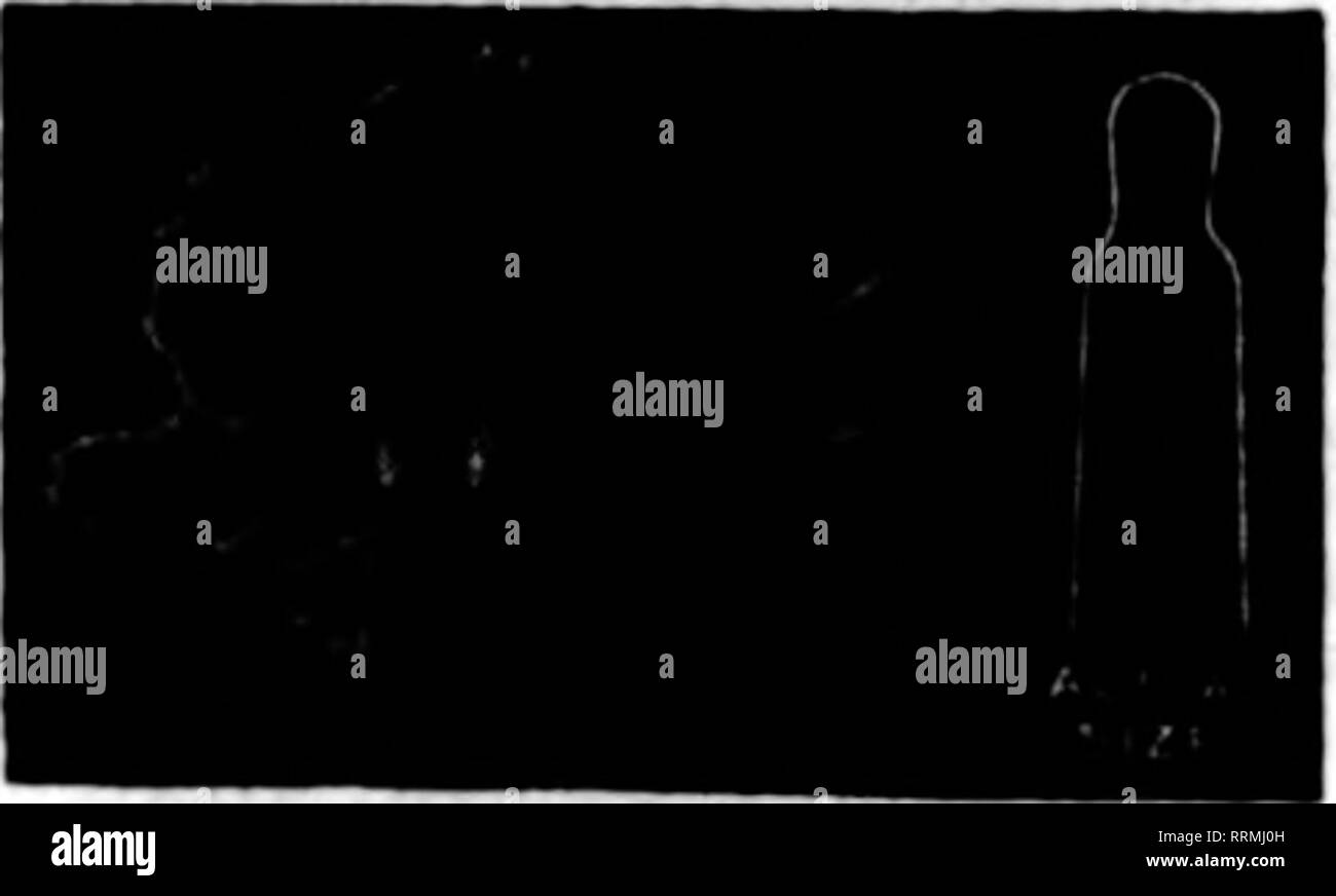 T 410 Black and White Stock Photos & Images - Alamy