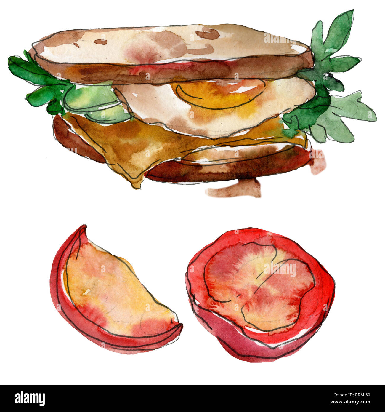 Sandwich in a watercolor style isolated set. Watercolour fast food ...