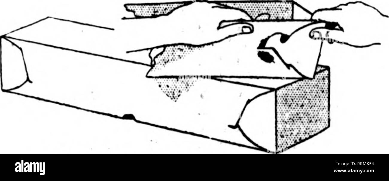 . Florists' review [microform]. Floriculture. ECONOSfllY FLOWER CARTONS ...