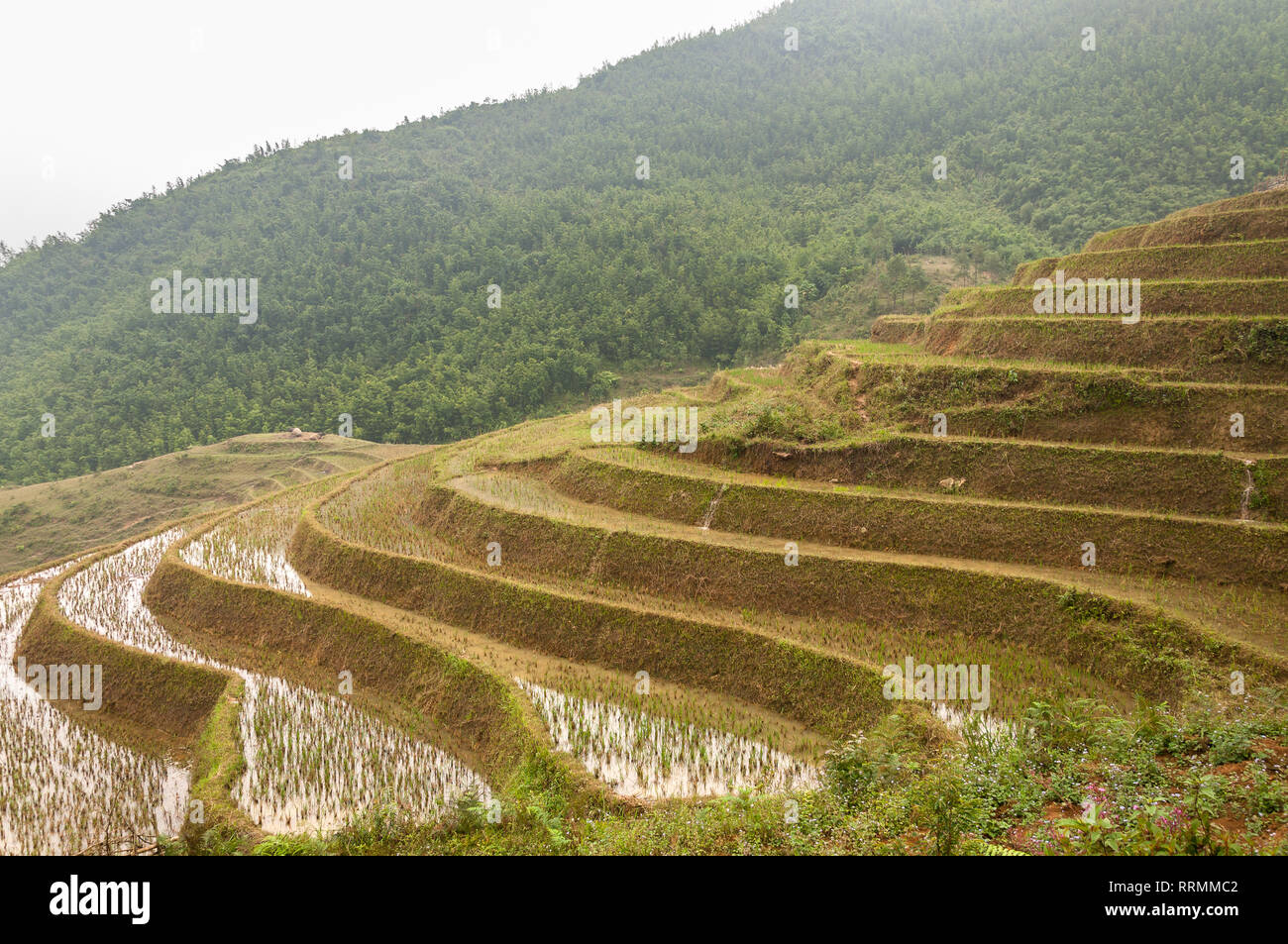 Stepped hill hi-res stock photography and images - Alamy