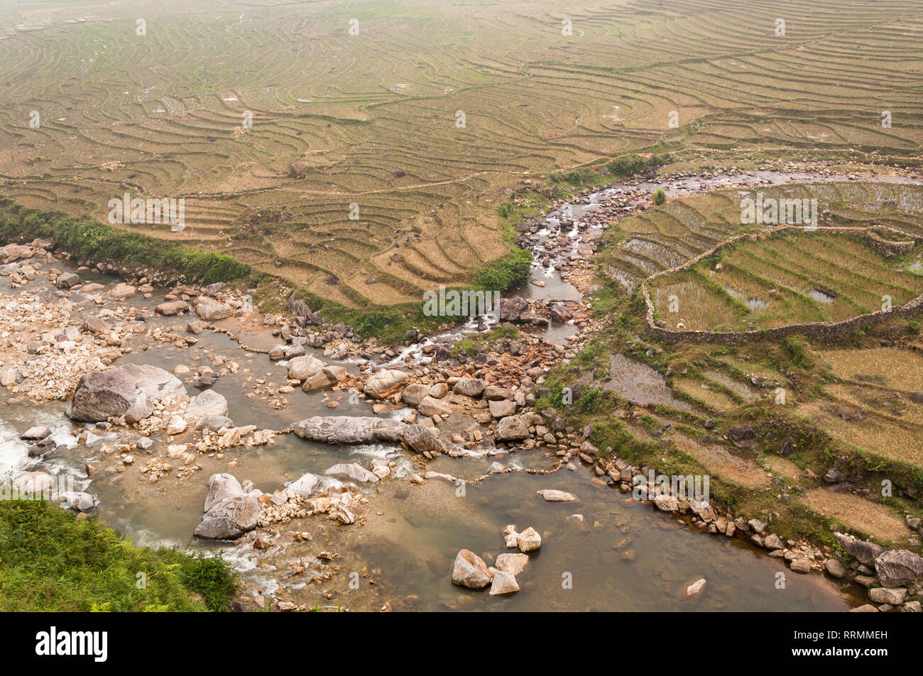 A river runs past terraced fields on a foggy day, Sa Pa, Vietnam Stock ...