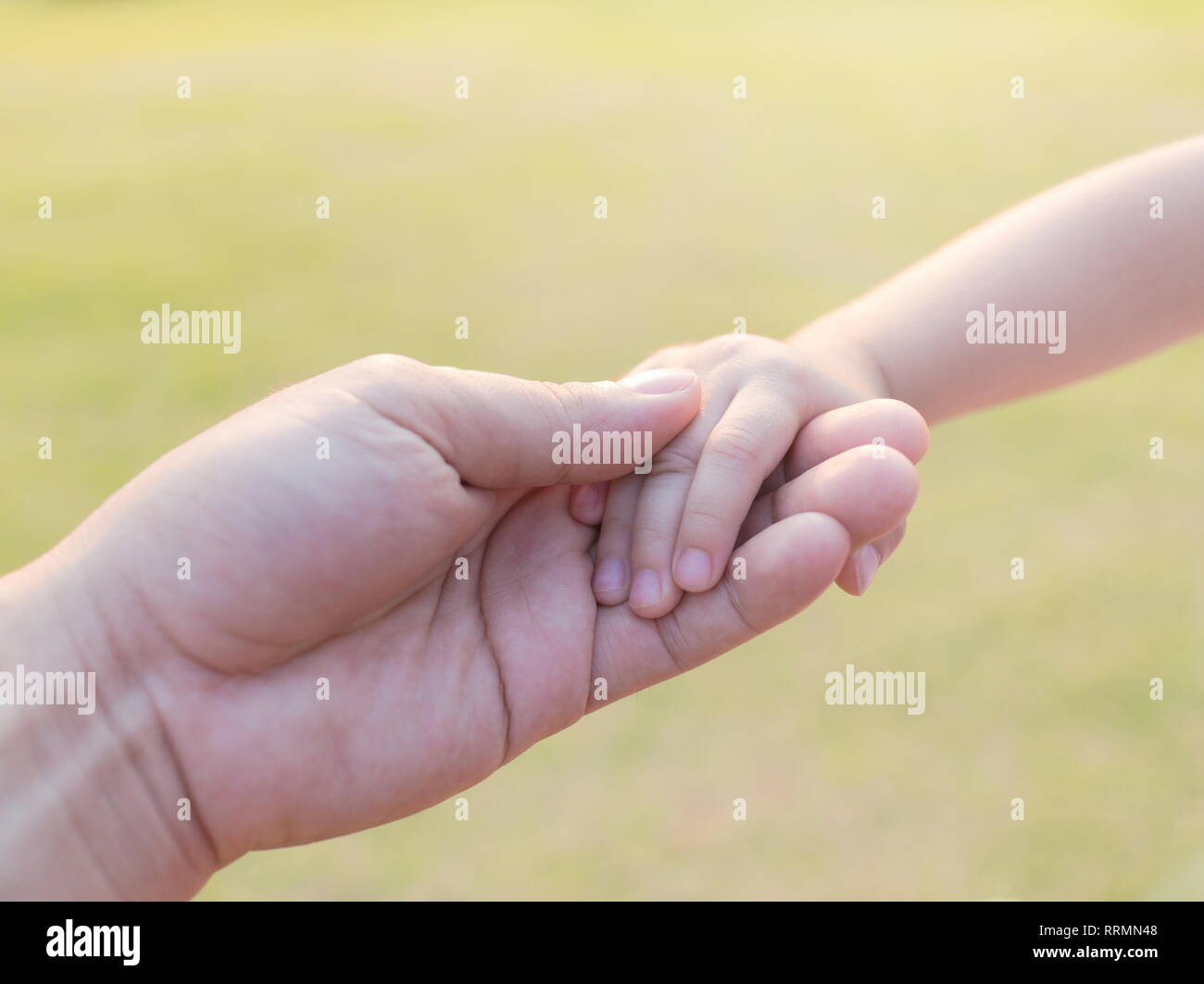 Father and son holding hand in hand at the garden outdoor Stock Photo ...