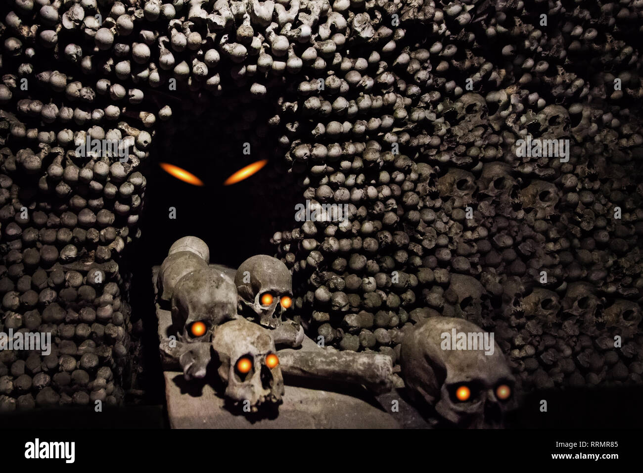 Human skulls bones hi-res stock photography and images - Alamy