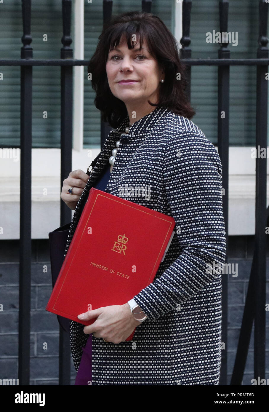 Minister for Energy and Clean Growth Claire Perry arrives in Downing ...