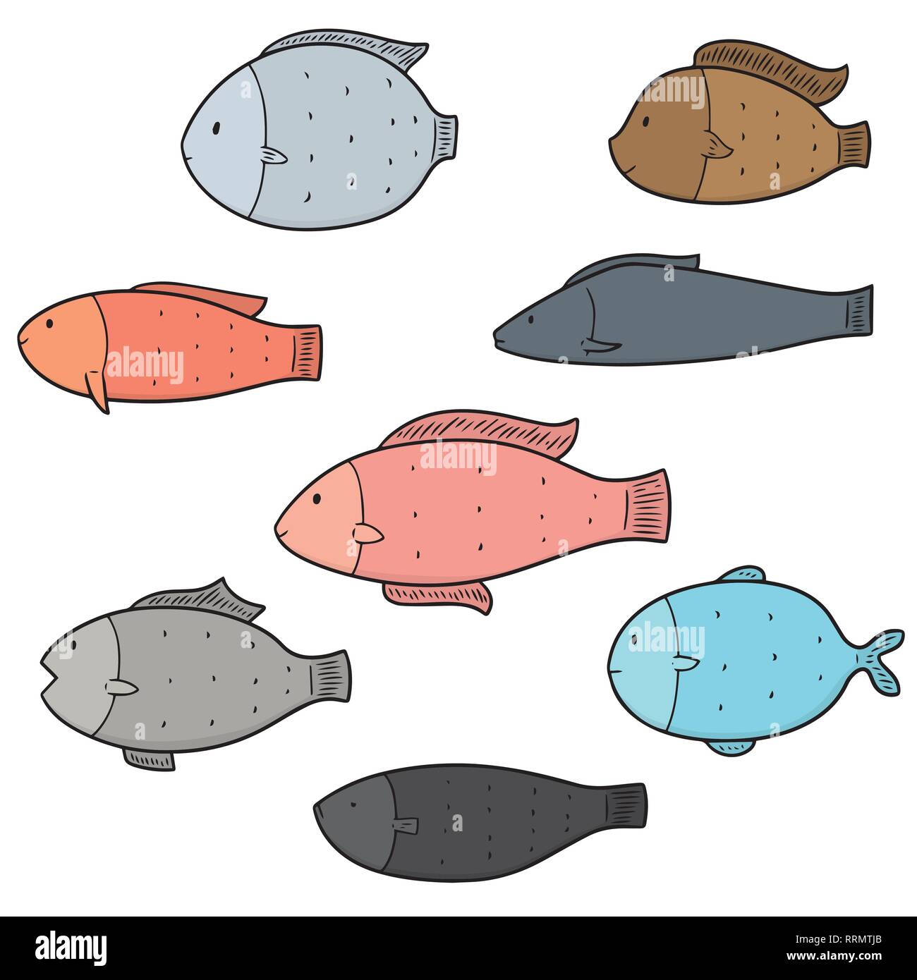 vector set of fish Stock Vector Image & Art - Alamy
