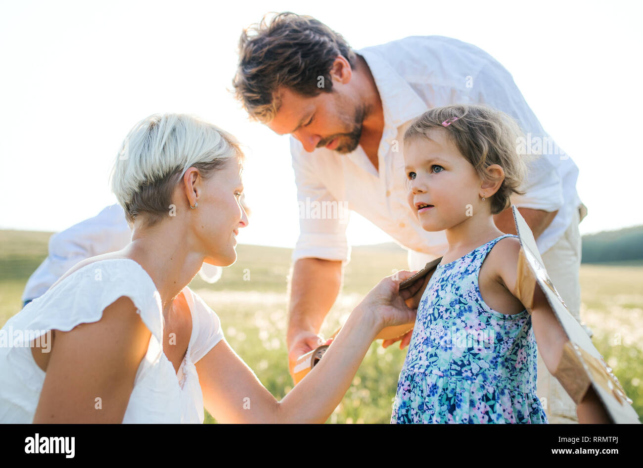 A young family with small children playing on a meadow in nature Stock ...