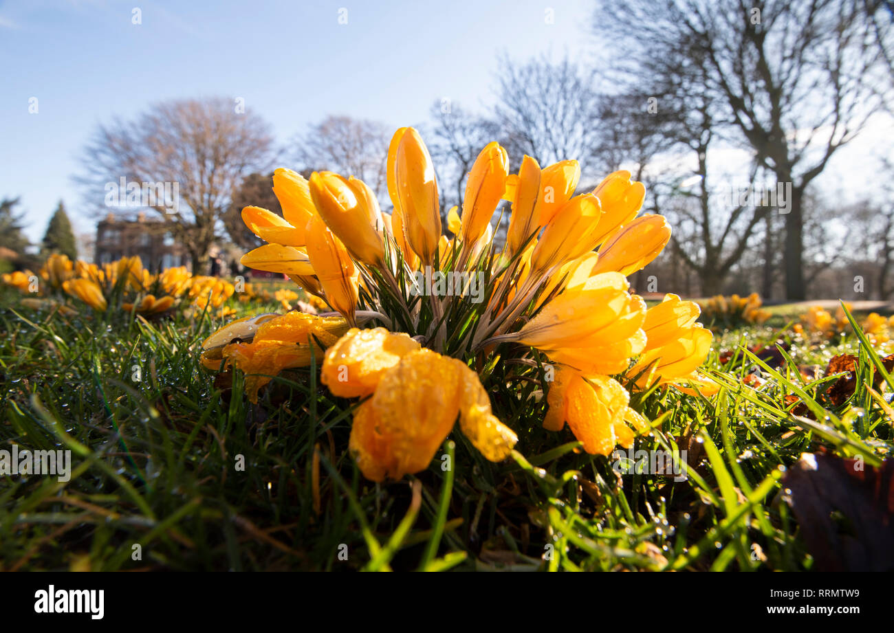 Woodthorpe park hi-res stock photography and images - Alamy