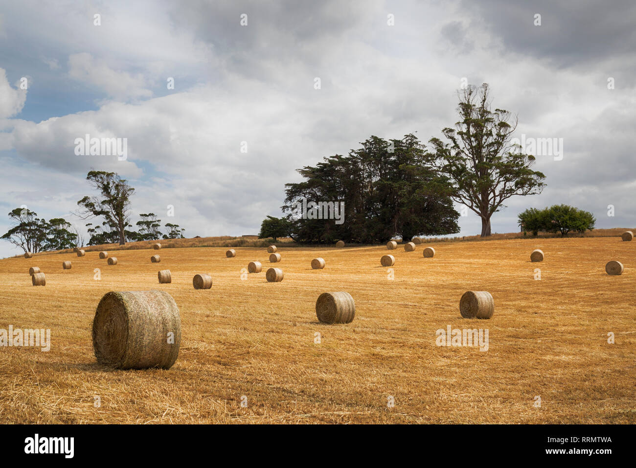 Australian farming scene hi-res stock photography and images - Alamy