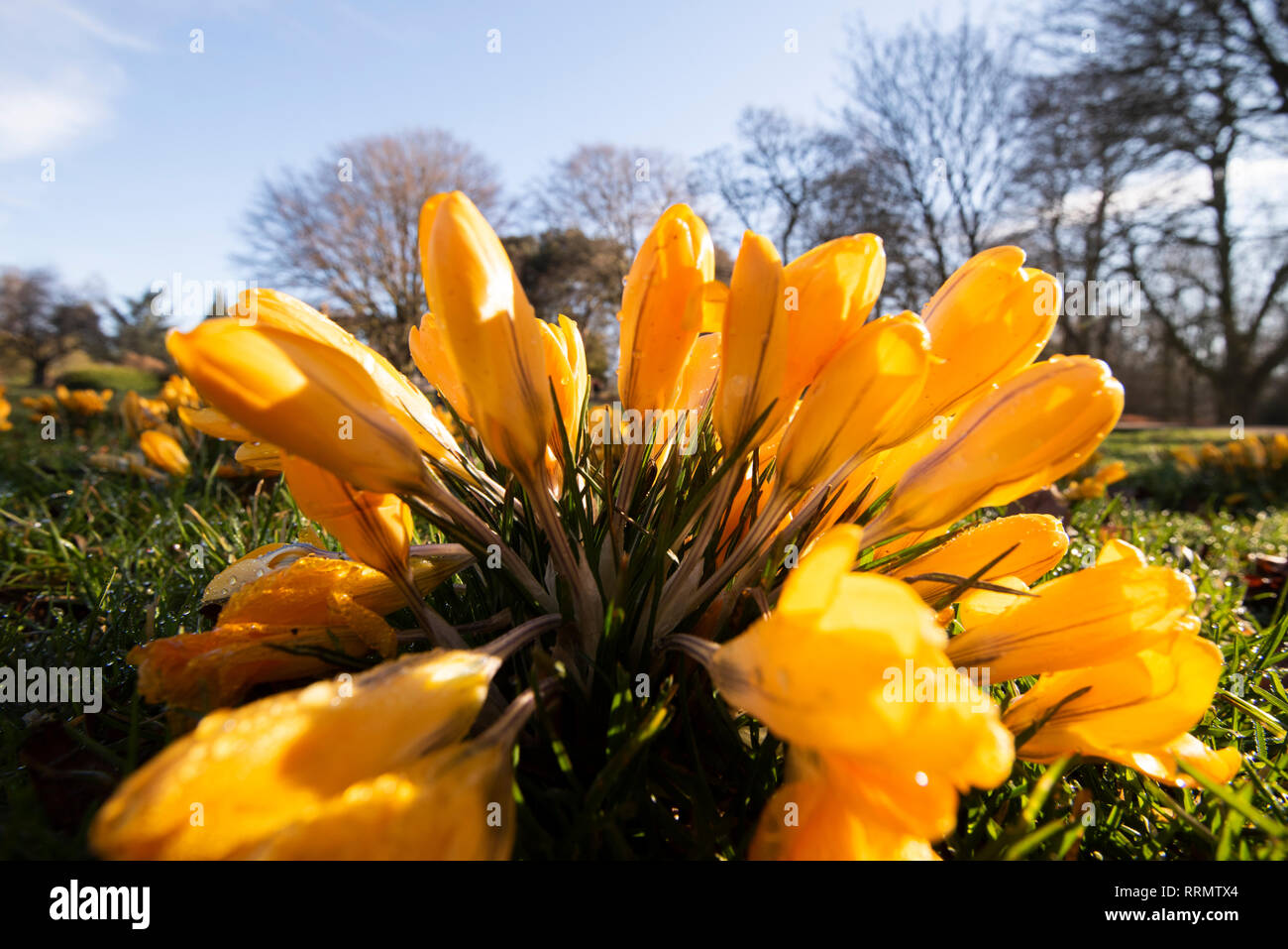 Woodthorpe grange park hi-res stock photography and images - Alamy