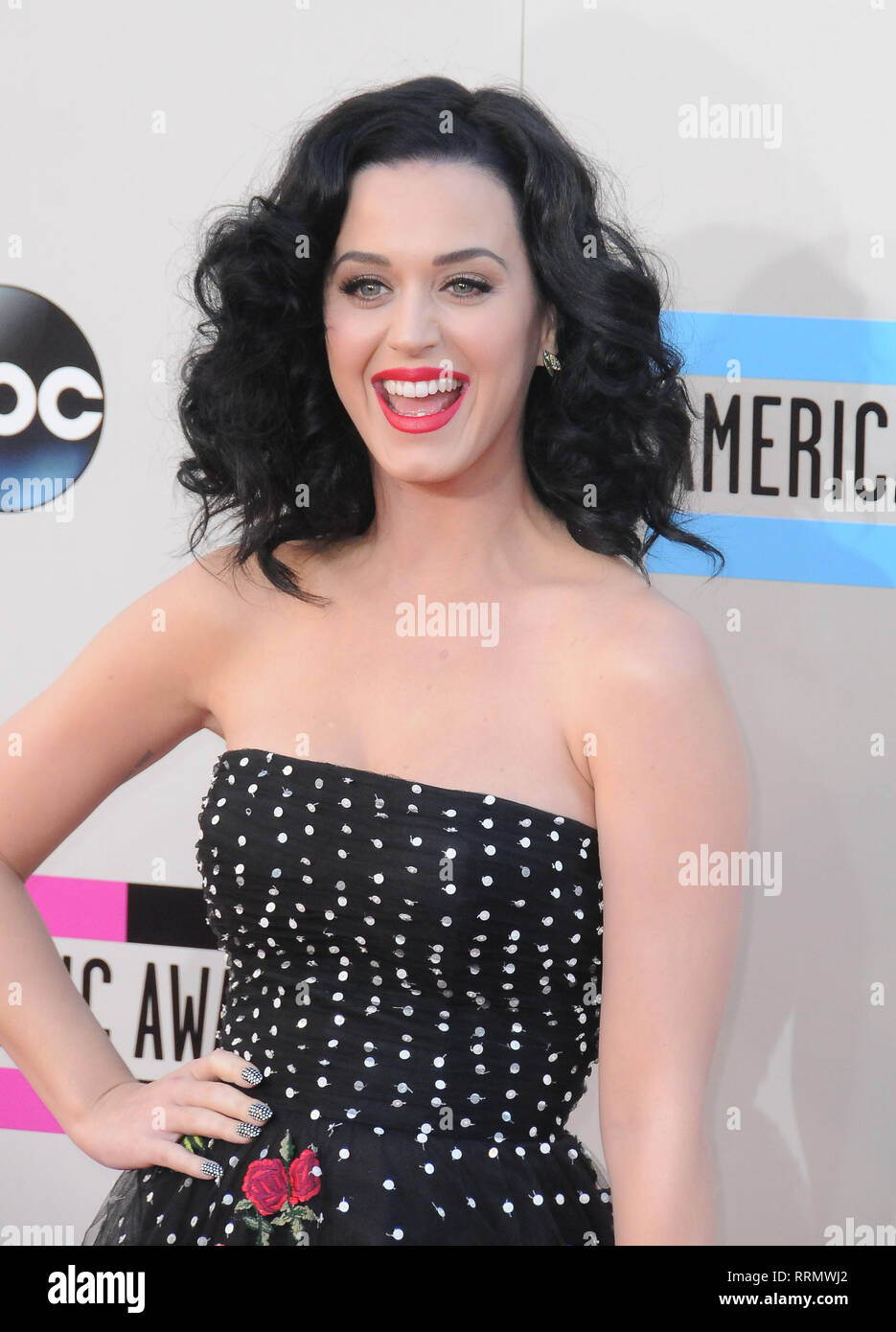 LOS ANGELES, CA - NOVEMBER 24: Singer Katy Perry attends the 2013 ...