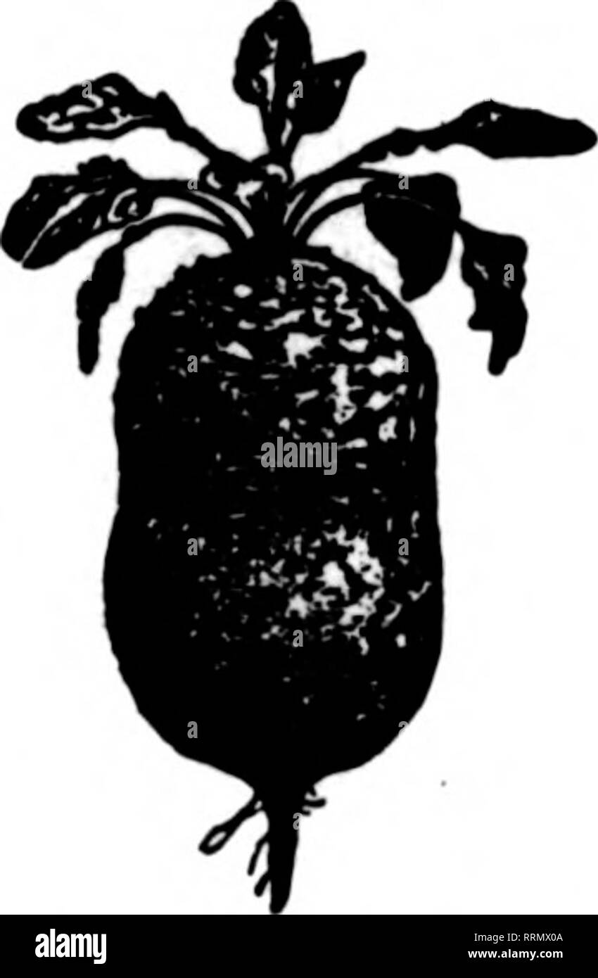 16 x 25 5 Black and White Stock Photos & Images - Alamy