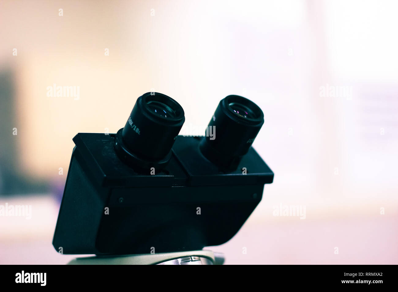 eye piece of a binocular light microscope black in colour in white ...