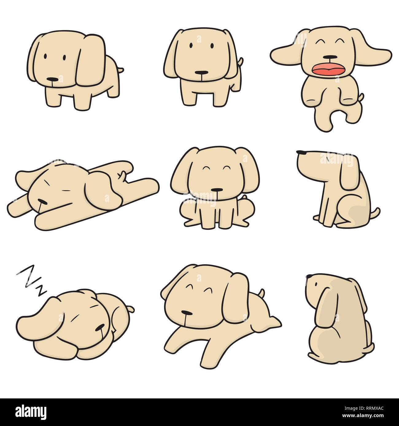 Labrador feet Stock Vector Images - Alamy