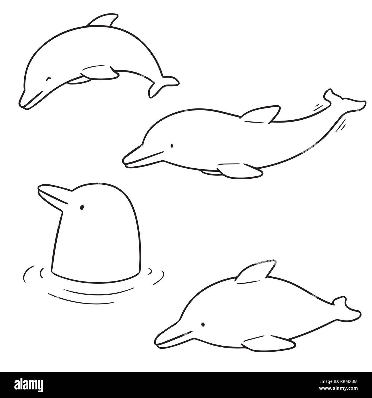 Simple line art illustration dolphin Black and White Stock Photos ...