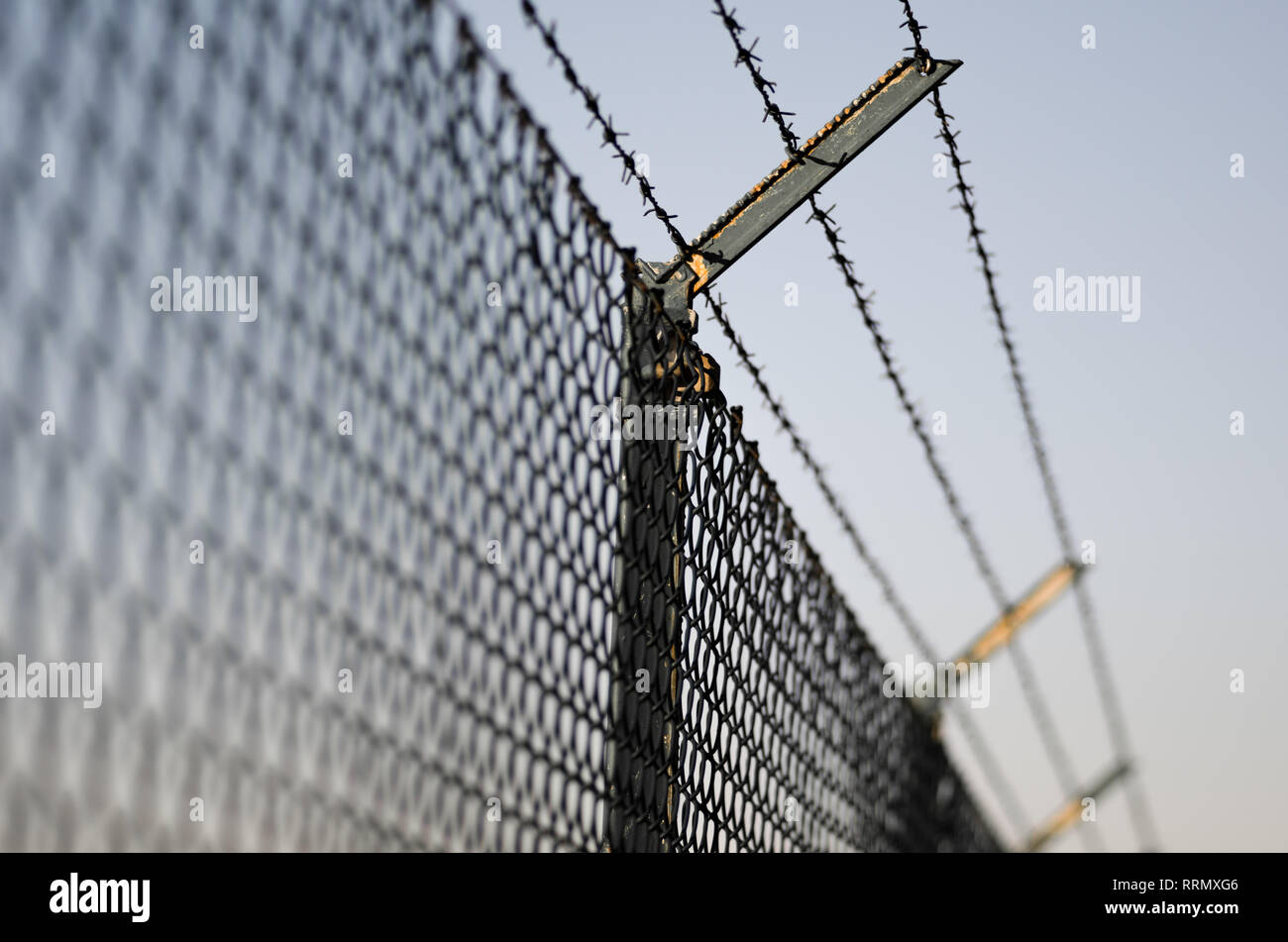 Barbed wire with details on spikes Stock Photo - Alamy