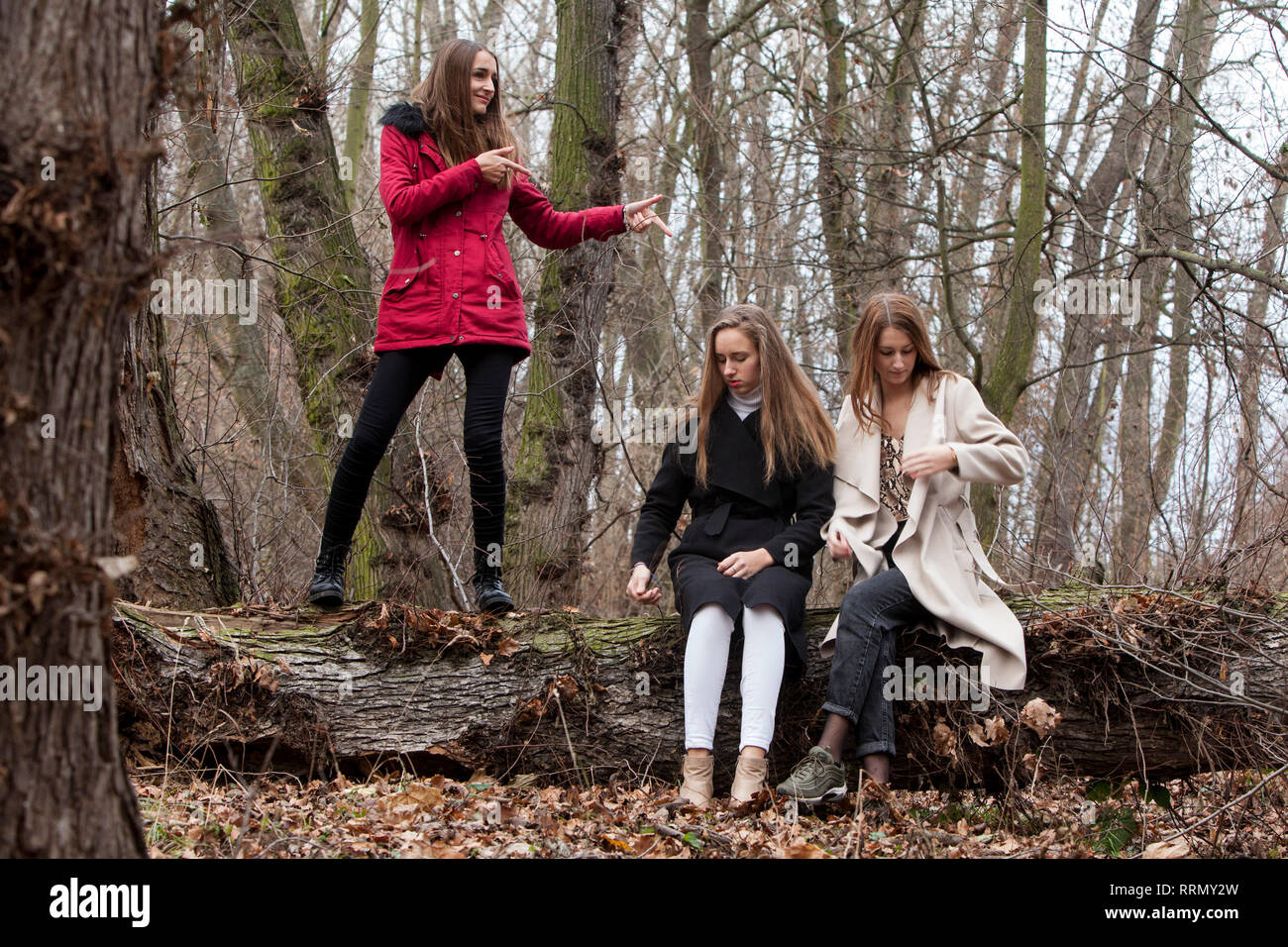 Portrait of a beautiful teenage girls in the nature, in the forest in ...
