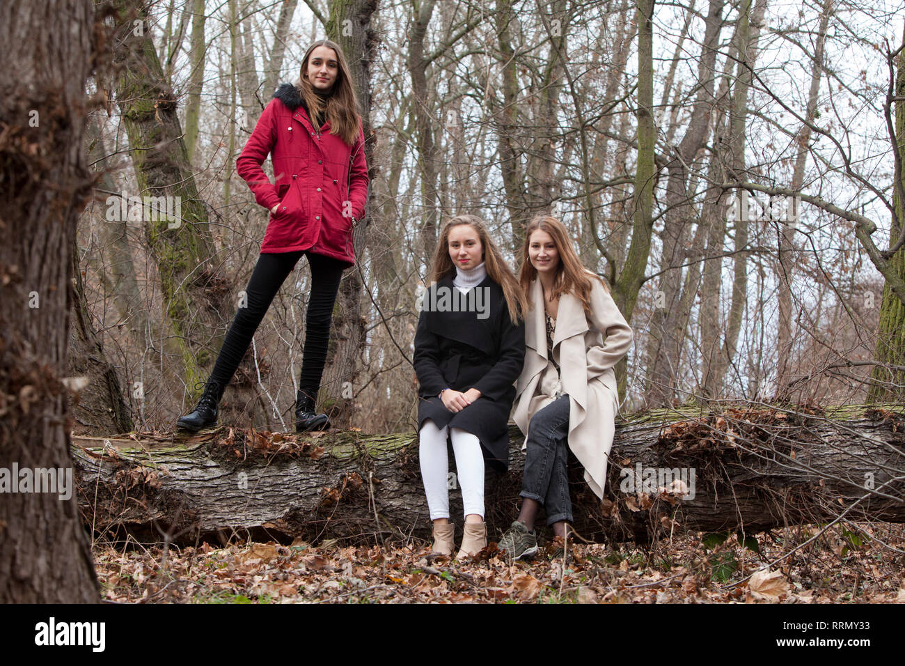 Portrait of a beautiful teenage girls in the nature, in the forest in ...