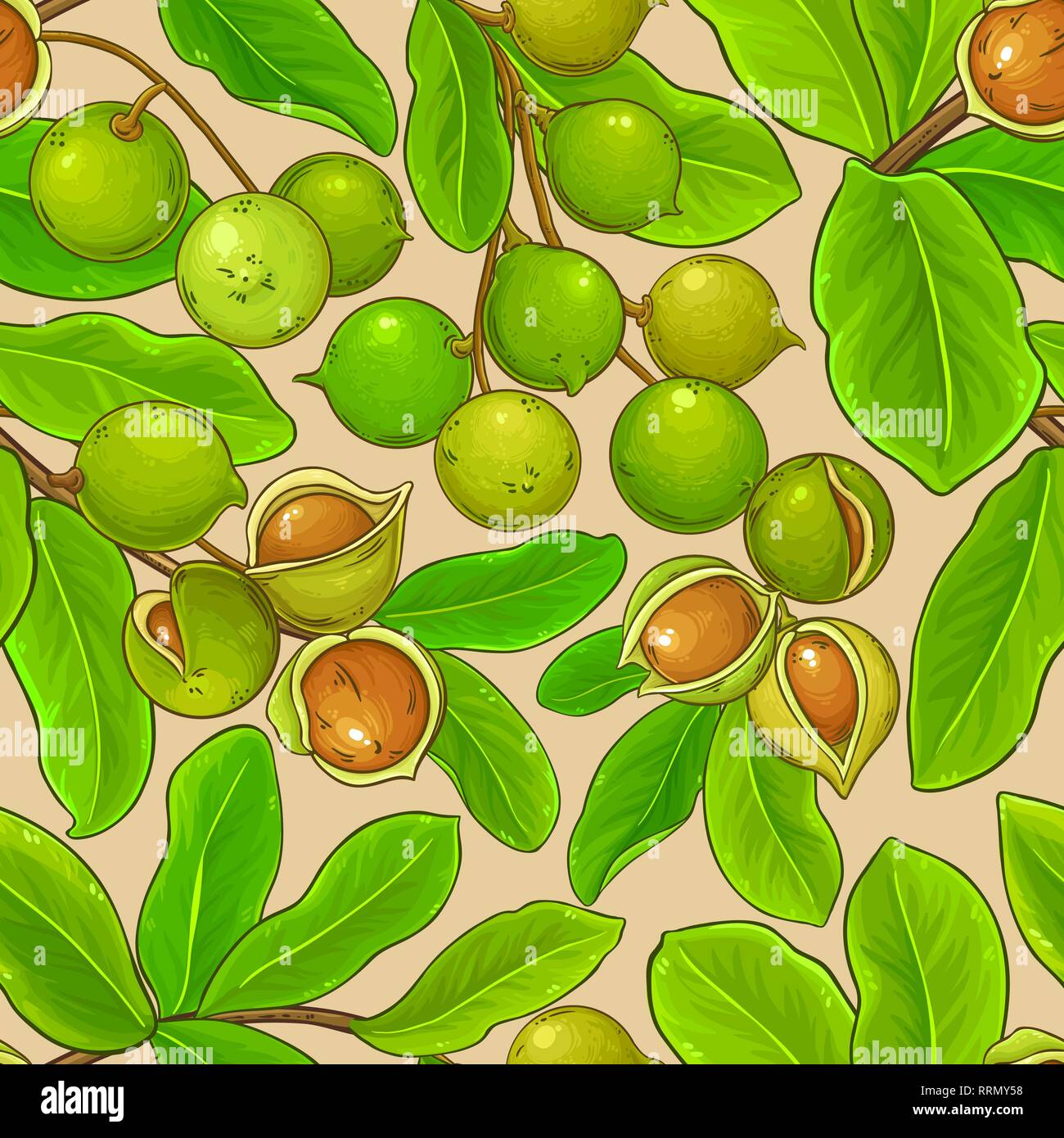Shell nuts, color background Stock Vector Images - Alamy