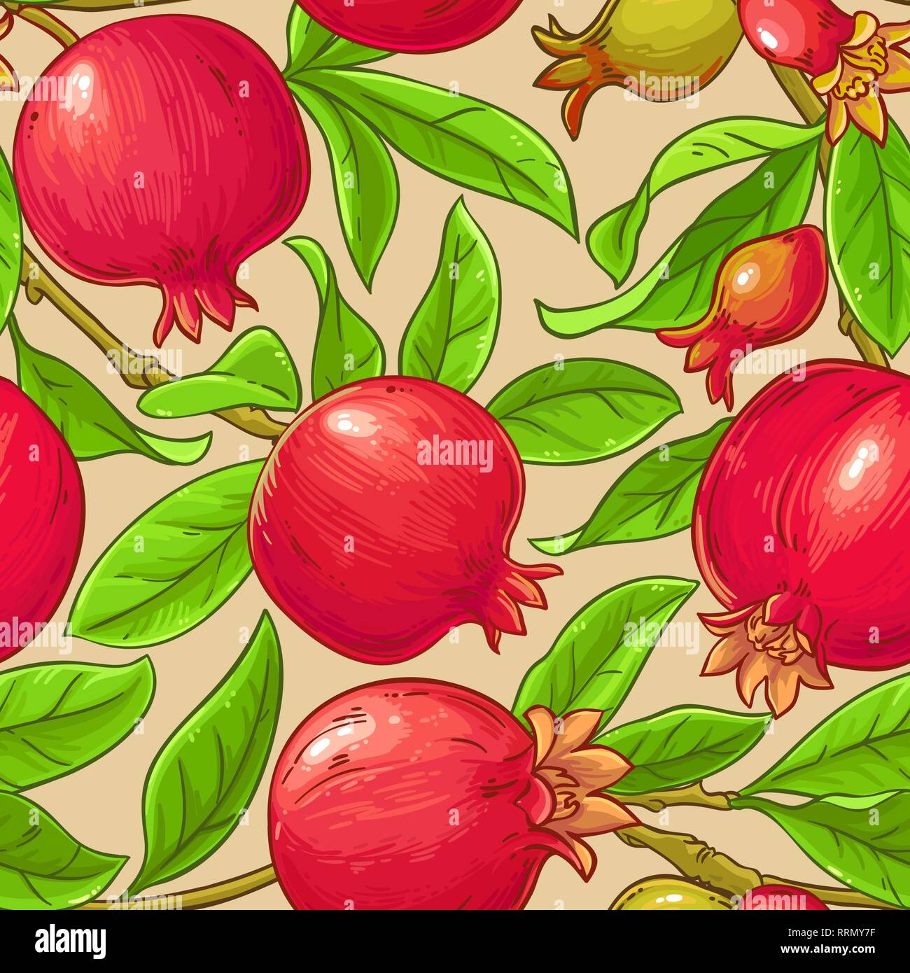 Pomegranate color vector vectors hi-res stock photography and images ...