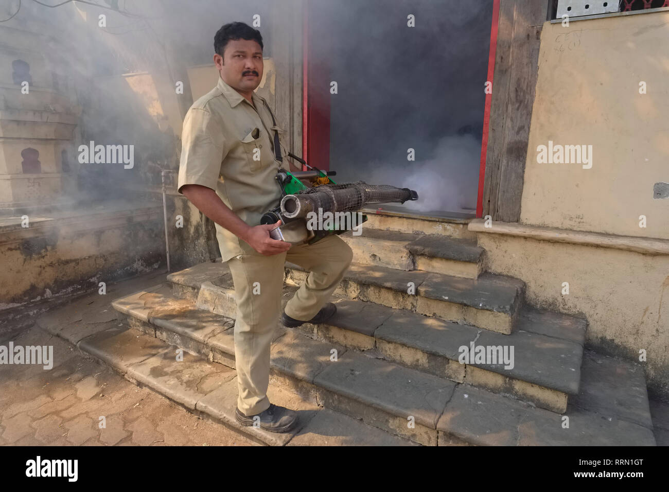 India insect plague hi-res stock photography and images - Alamy